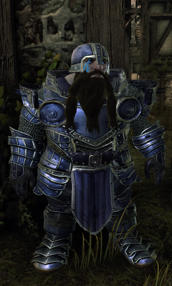 Guard Recruiter | Neverwinter Wiki | Fandom