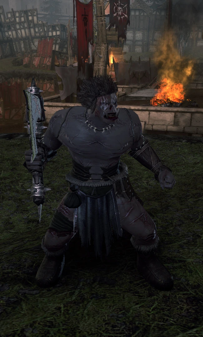 Drudge | Neverwinter Wiki | Fandom