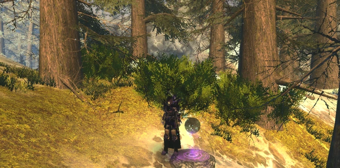 Lonelywood Scrying Stones Map - Official Neverwinter Wiki