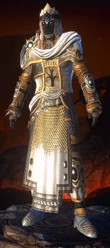 Armor Set/Gallery - Official Neverwinter Wiki