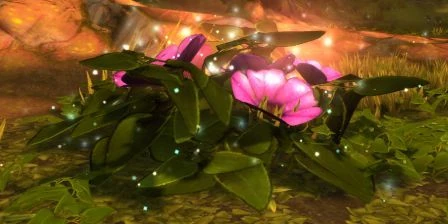 Fey Flower - Official Neverwinter Wiki