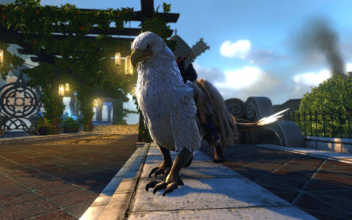 Грифон — Официальная Neverwinter Wiki