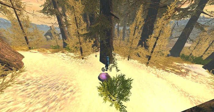 Lonelywood Scrying Stones Map - Official Neverwinter Wiki