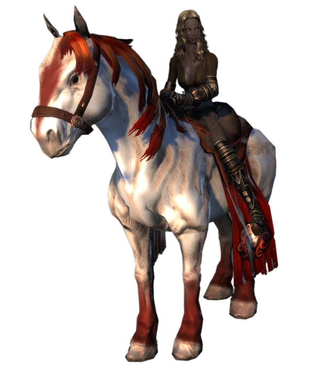 Neverwinter Waterdeep Horse Rank 3