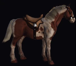 Neverwinter Waterdeep Horse Rank 3