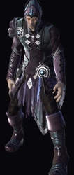 Cantankerous Mage (previous) - Official Neverwinter Wiki