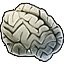 Illithid Brain - Official Neverwinter Wiki