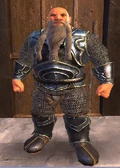 Armor Set/Gallery - Official Neverwinter Wiki