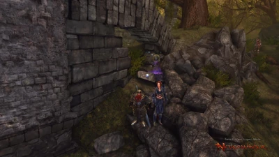 Various Scrying Stones Maps - Official Neverwinter Wiki