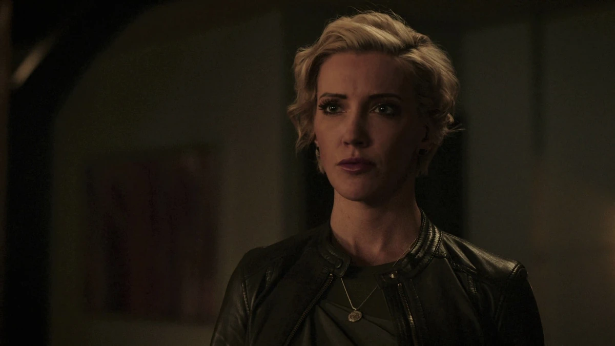 Laurel Lance (Earth Two) | New Arrowverse Wiki | Fandom