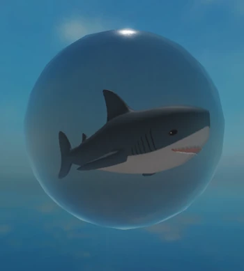 Blahaj | New Balls.rng Wiki | Fandom