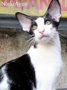 Category:Characters | New Beginnings RP Wiki | Fandom