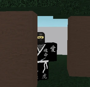Ninja | New Build and RP Wiki | Fandom
