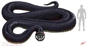 Giant Anaconda | New Cryptozoology Wiki | Fandom