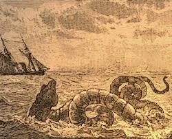 Muc-Sheilche | New Cryptozoology Wiki | Fandom