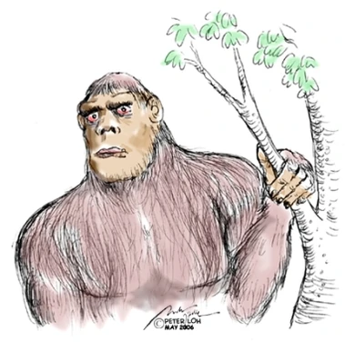 Orang Mawas | New Cryptozoology Wiki | Fandom