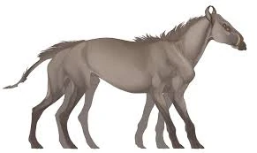 Nykur | New Cryptozoology Wiki | Fandom
