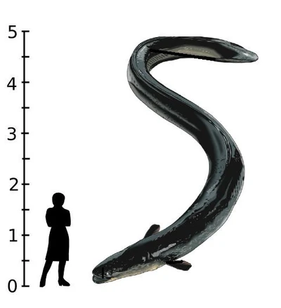 Cressie | New Cryptozoology Wiki | Fandom