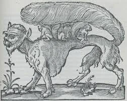 Succarath | New Cryptozoology Wiki | Fandom