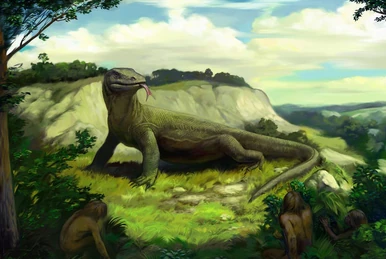 nguma monene description