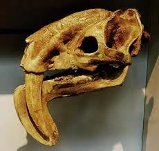 Maipolina | New Cryptozoology Wiki | Fandom