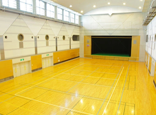 Todonbaya Rainbow Hall | New Direction Wiki | Fandom