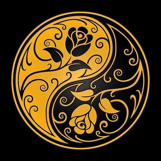 Akechi Clan | New Generations Wiki | Fandom