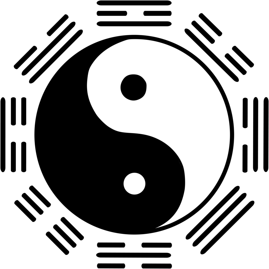 Hyuuga Clan | New Generations Wiki | Fandom