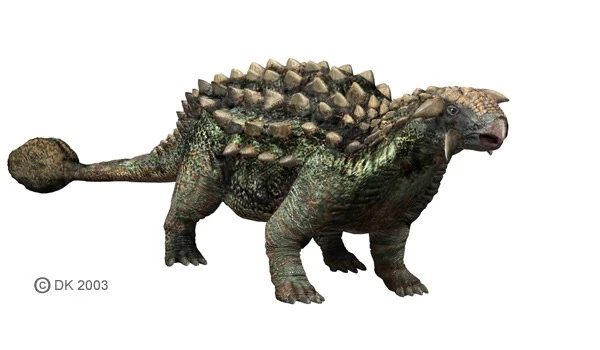 Ankylosaurus-Dinosaur Age Animals (Discovery Kids Documentary) | New ...