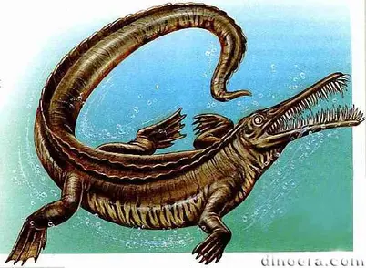 Jurassic Kratts-mesosaurus cross country trip | New ideas by Matt ...