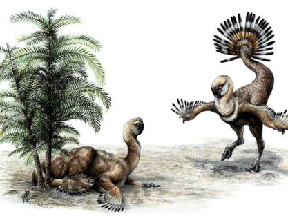 Heyuannia rescue-Jurassic Kratts | New ideas by Matt Weaver Wiki | Fandom