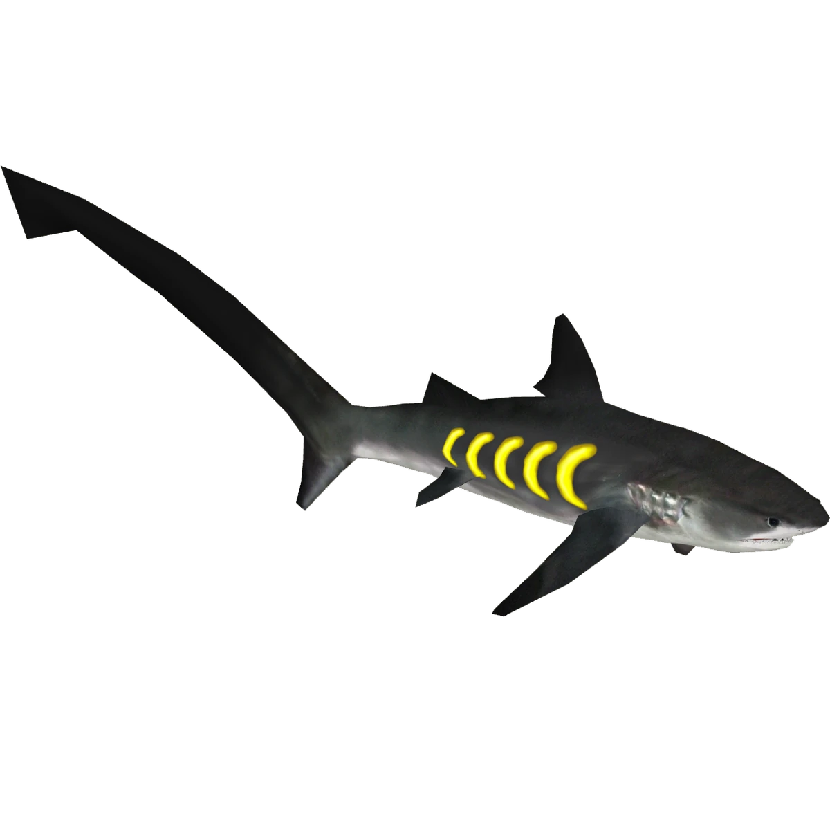 The Future is wild-animated series new episode: Sharkopath attack ...