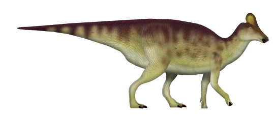 Minqaria-dinosaur | New ideas by Matt Weaver Wiki | Fandom
