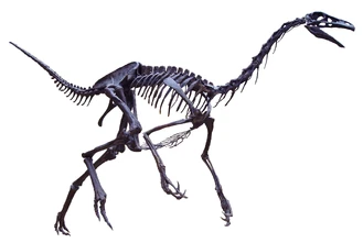 Struthiomimus powers-Jurassic Kratts | New ideas by Matt Weaver Wiki ...
