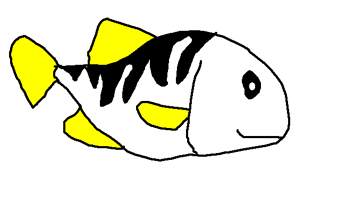 Zebra fish-octonauts | New ideas by Matt Weaver Wiki | Fandom