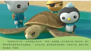 Hawksbill sea turtle preview-octonauts | New ideas by Matt Weaver Wiki ...
