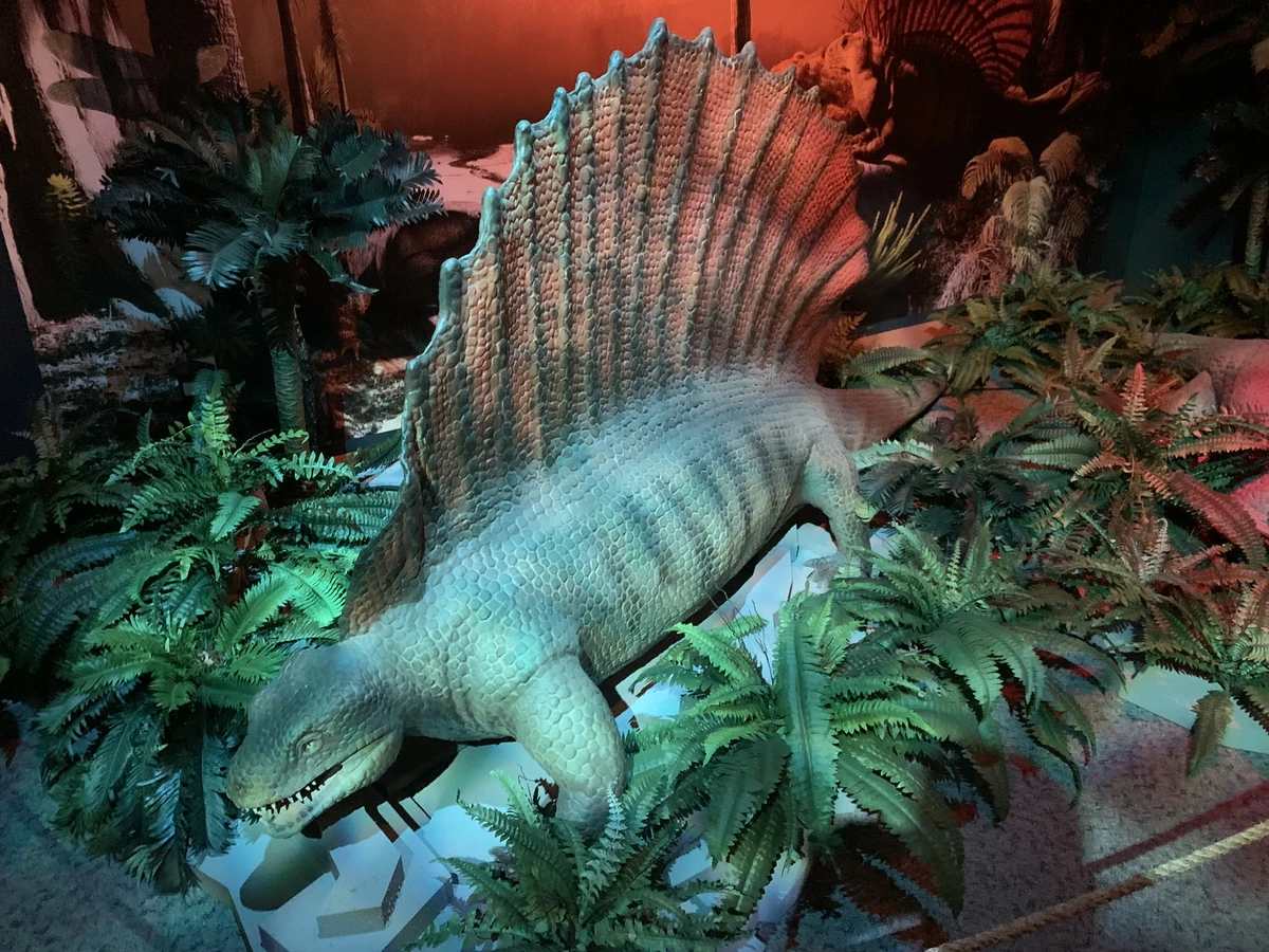 Edaphosaurus | New ideas by Matt Weaver Wiki | Fandom