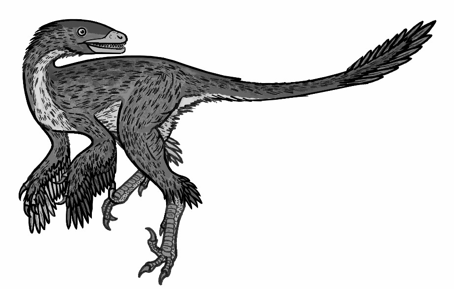 Sinusonasus Splash And Bubbles Prehistoric New Ideas By Matt Weaver