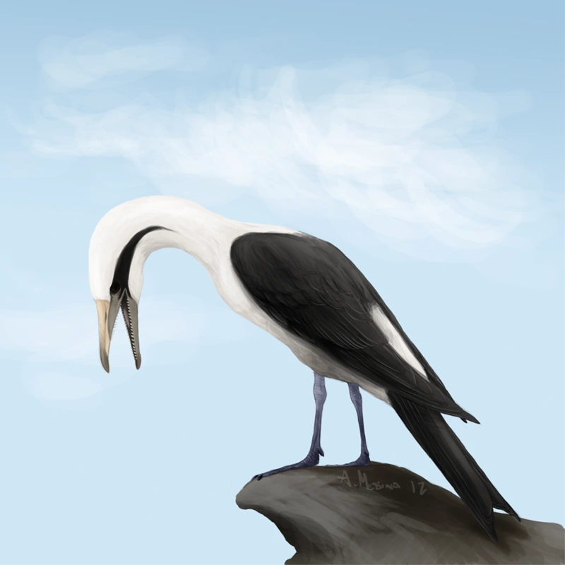 Ichthyornis diving-splash and bubbles prehistoric | New ideas by Matt ...