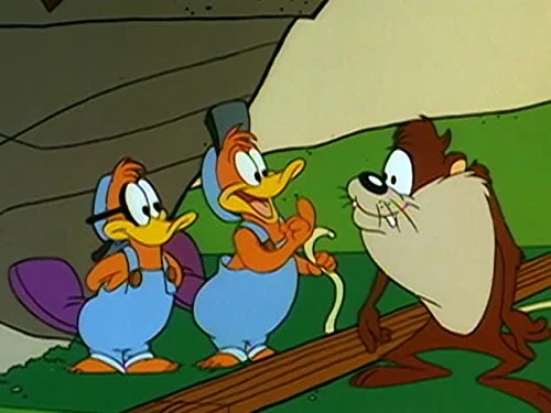 Platypus bros-the New Daffy Duck Show | New ideas by Matt Weaver Wiki | Fandom