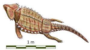 Cyamodus | New ideas by Matt Weaver Wiki | Fandom