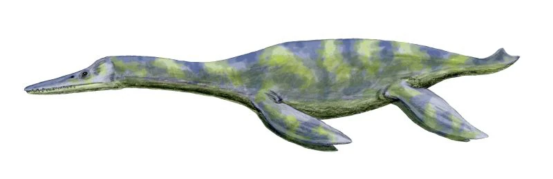 Wild kratts prehistoric preview-to the cretaceous seven seas | New ...