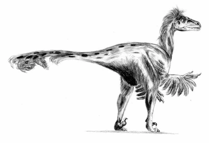 Dromaeosaurus-raptor-Dinosaur planet | New ideas by Matt Weaver Wiki ...