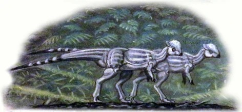 Sphaerotholus power-ram-Jurassic Kratts | New ideas by Matt Weaver Wiki ...