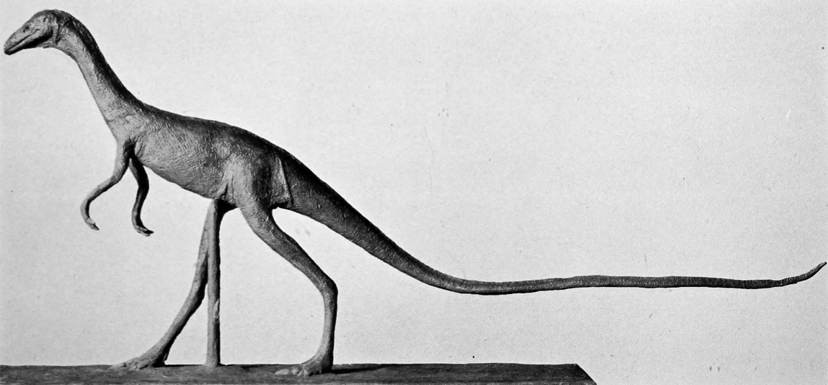 Podokesaurus | New ideas by Matt Weaver Wiki | Fandom