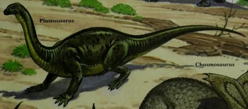 New Rourke book-Plateosaurus | New ideas by Matt Weaver Wiki | Fandom