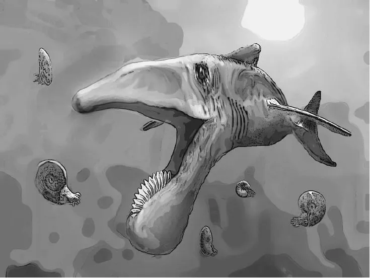Hilda helicoprion-Splash and Bubbles | New ideas by Matt Weaver Wiki ...