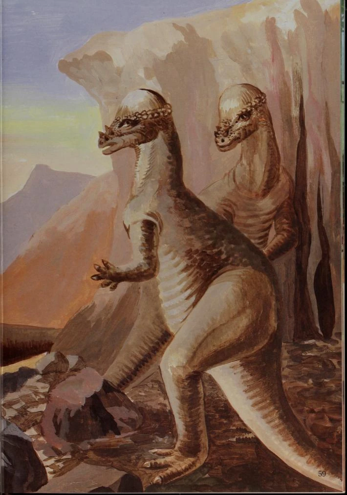 Pachycephalosaurus Dinosaur Library New Ideas By Matt Weaver Wiki