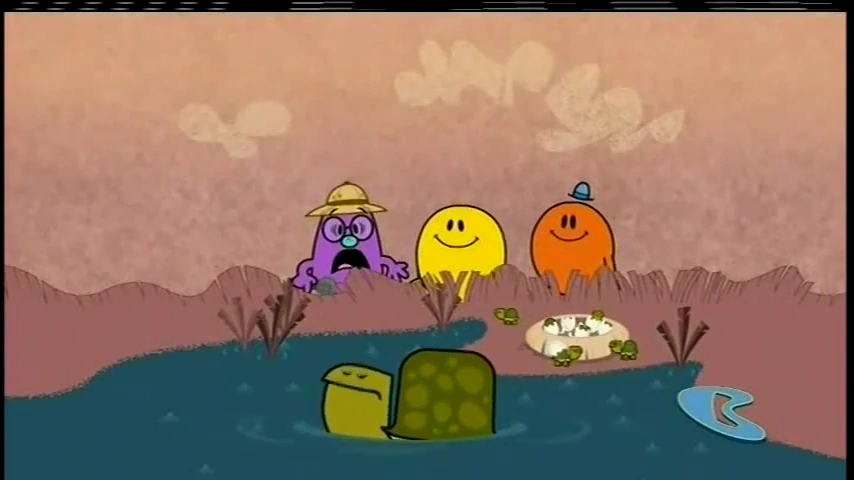 Honking Turtle-Mr Men show | New ideas by Matt Weaver Wiki | Fandom