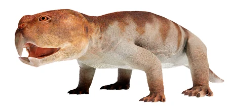 Rhynchosaur rescue-Jurassic kratts | New ideas by Matt Weaver Wiki | Fandom